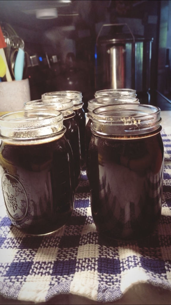 Homemade Organic Elderberry Syrup - Exodus WildSchool